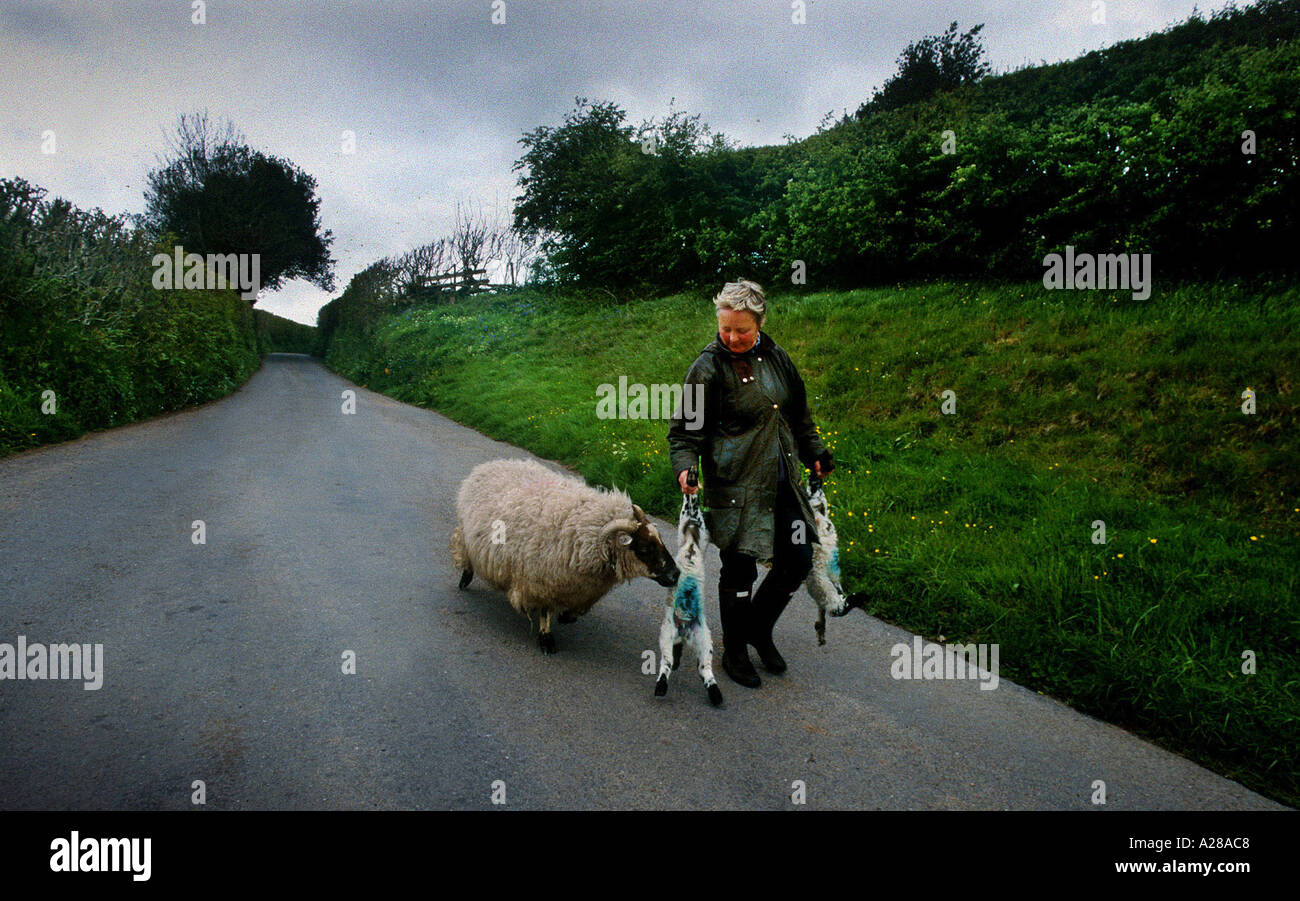 Mrs pearse hi-res stock photography and images - Alamy
