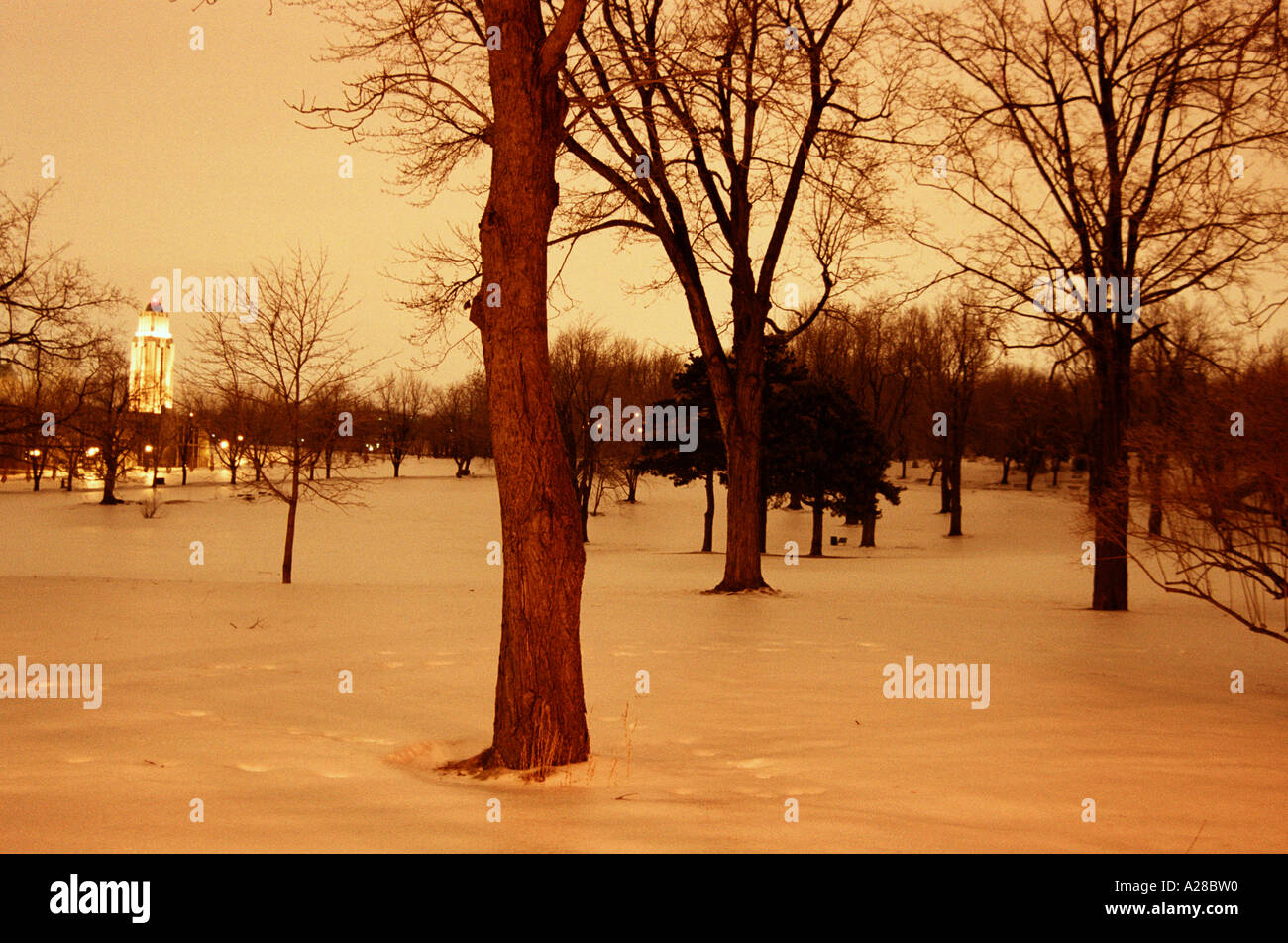 cote des neiges, Montreal, winter night Stock Photo - Alamy