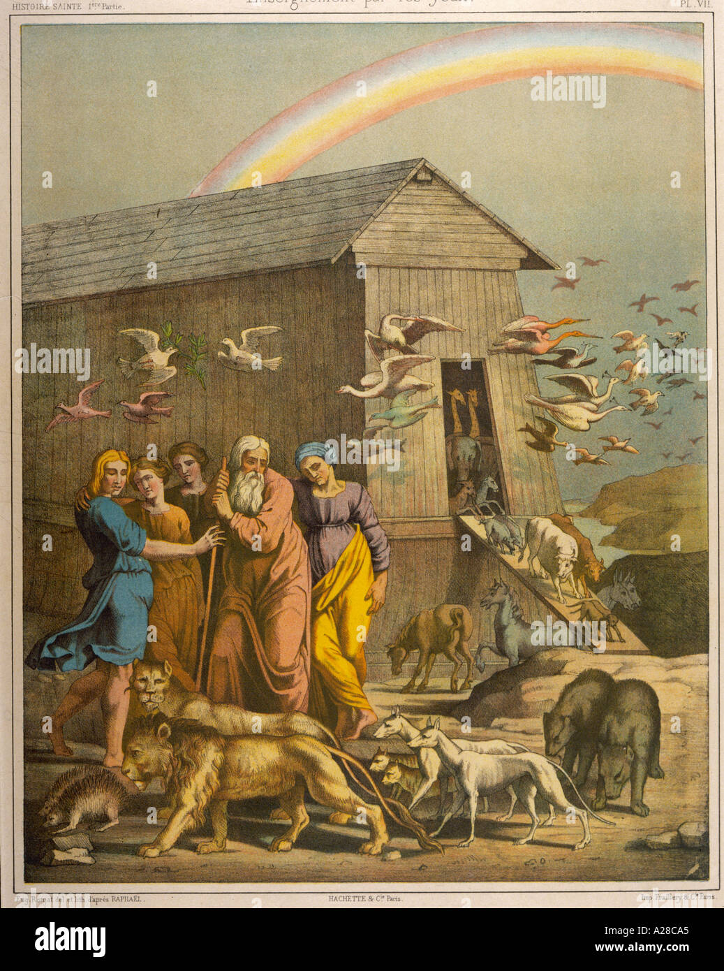 Noah Leaves The Ark Stock Photo - Alamy