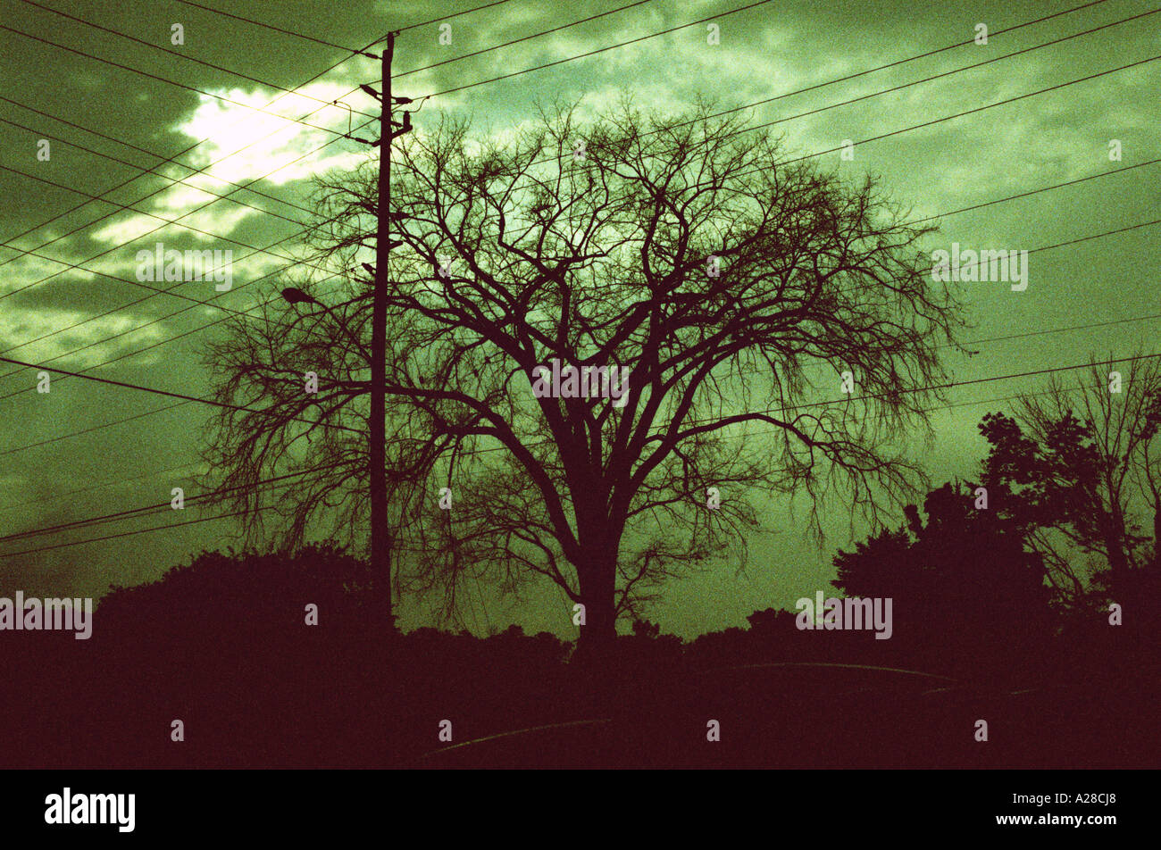 Contrast electricity wires hi-res stock photography and images - Alamy