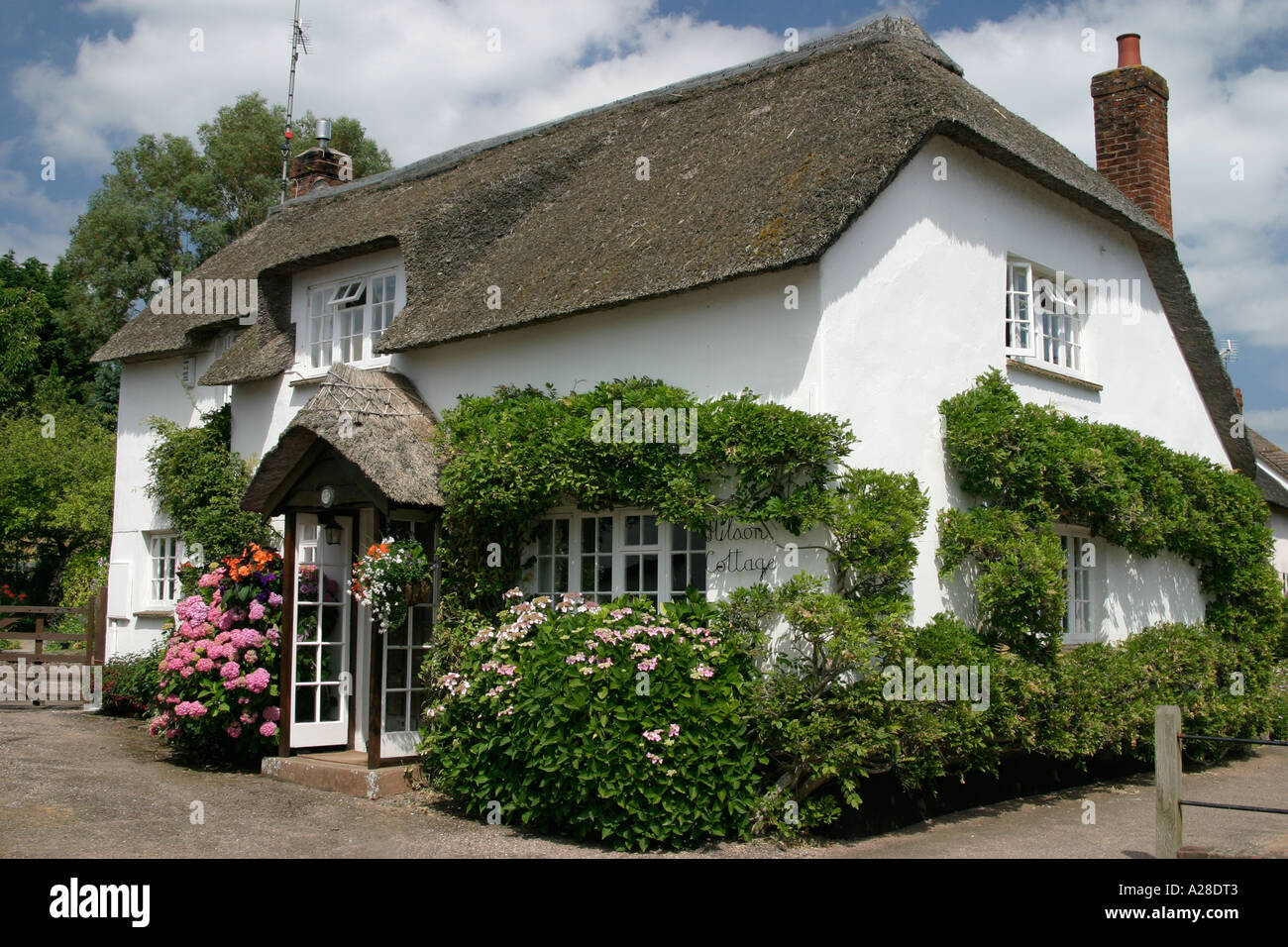 Thatched cottage Otterton Devon Stock Photo - Alamy