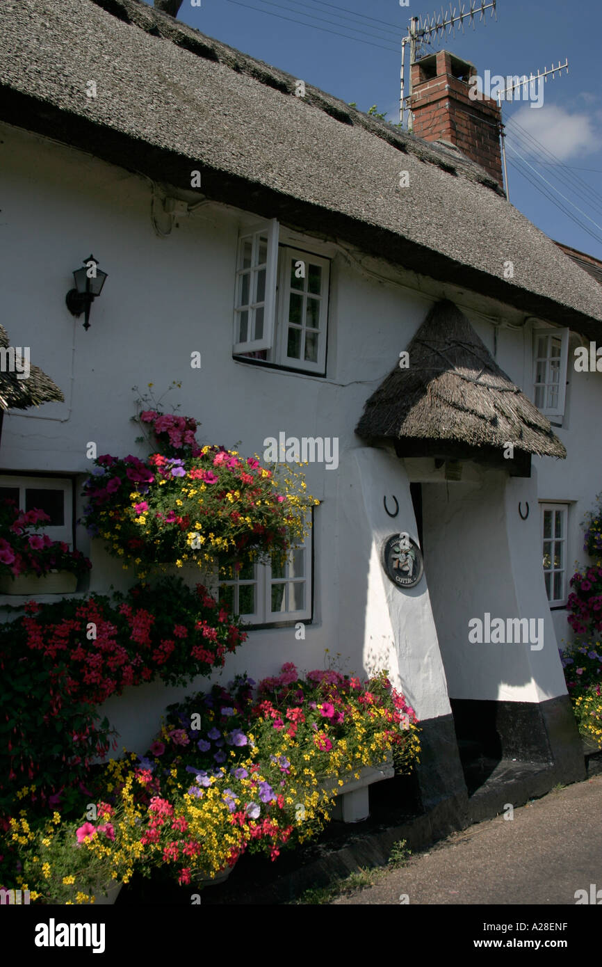 Devon view guest house hi-res stock photography and images - Alamy