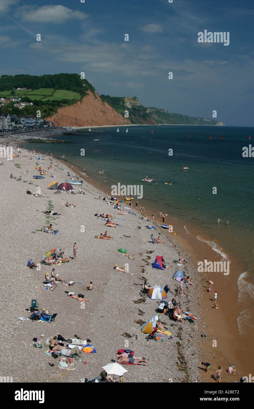 Discover devon hi-res stock photography and images - Alamy