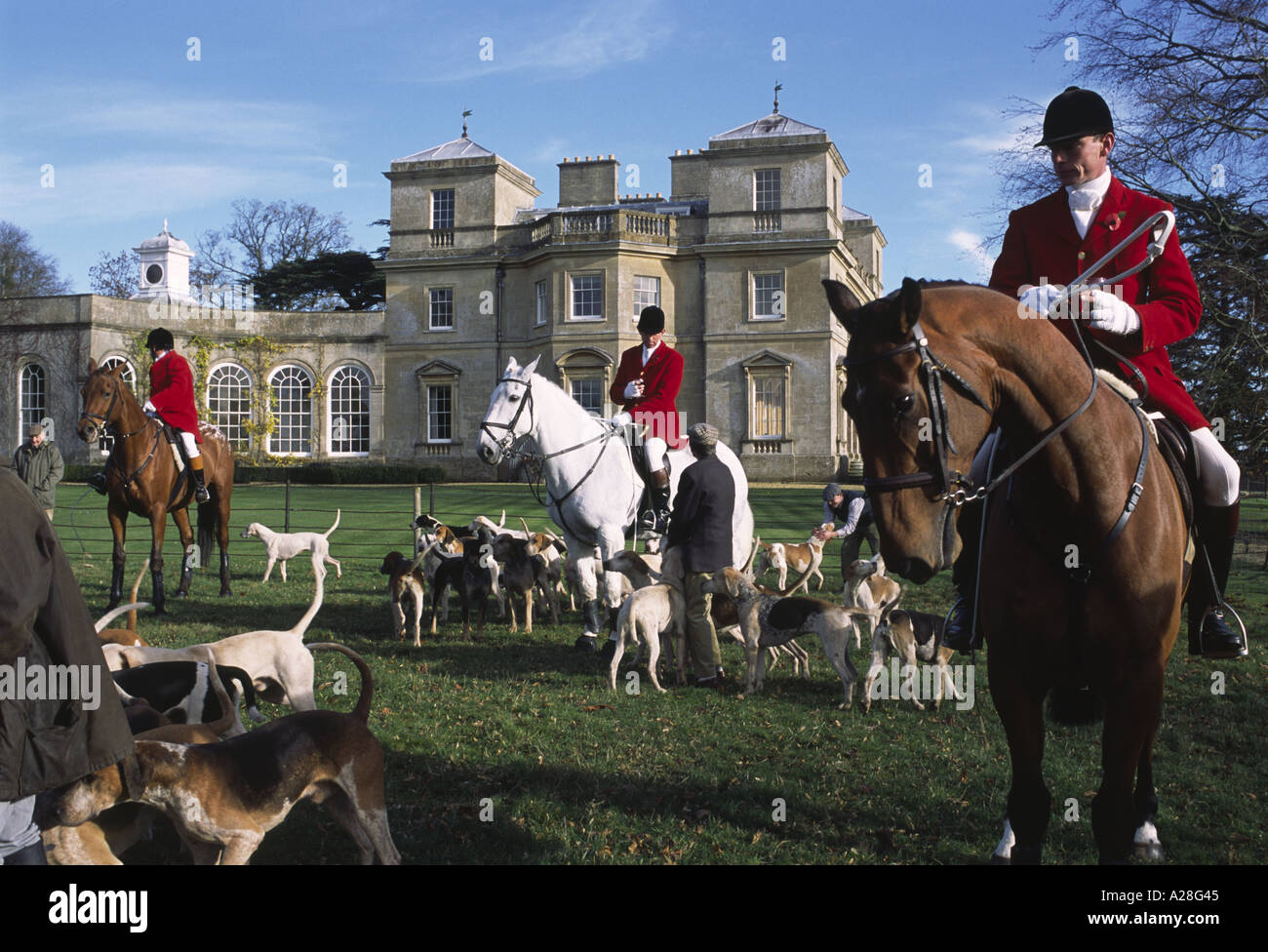 Foxhounds winter hi-res stock photography and images - Alamy