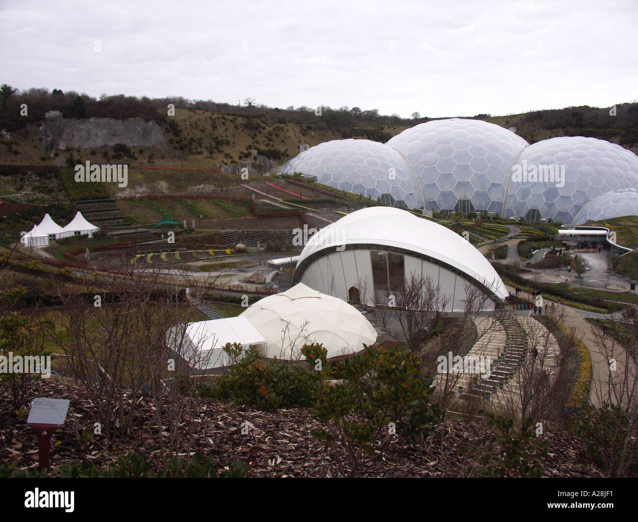 Eden project Cornwall England Stock Photo - Alamy