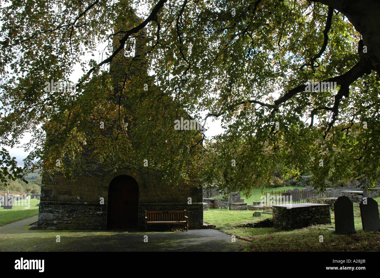 Church with overhanging autumnal tree Stock Photo - Alamy