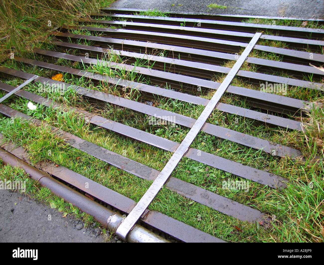 Cattle grid on country road Stock Photo - Alamy