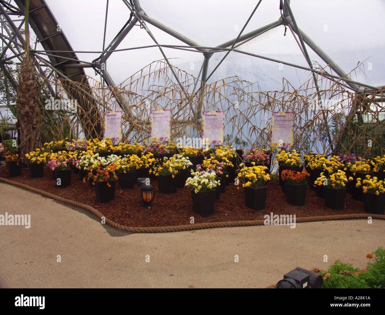 Glass biome hi-res stock photography and images - Alamy