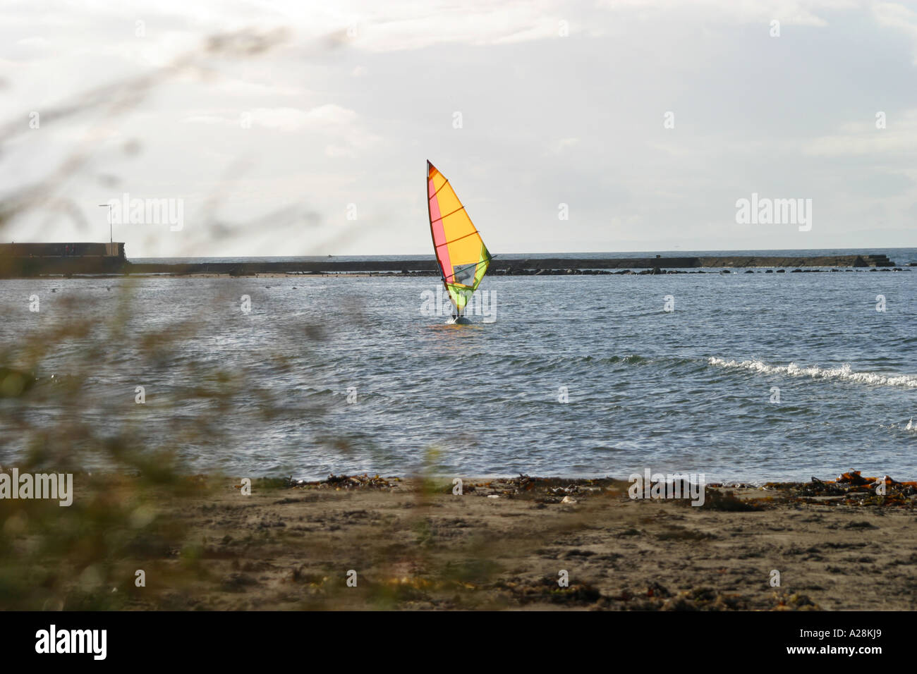 Windsurfer on inshore waters at Scottish beach Stock Photo - Alamy