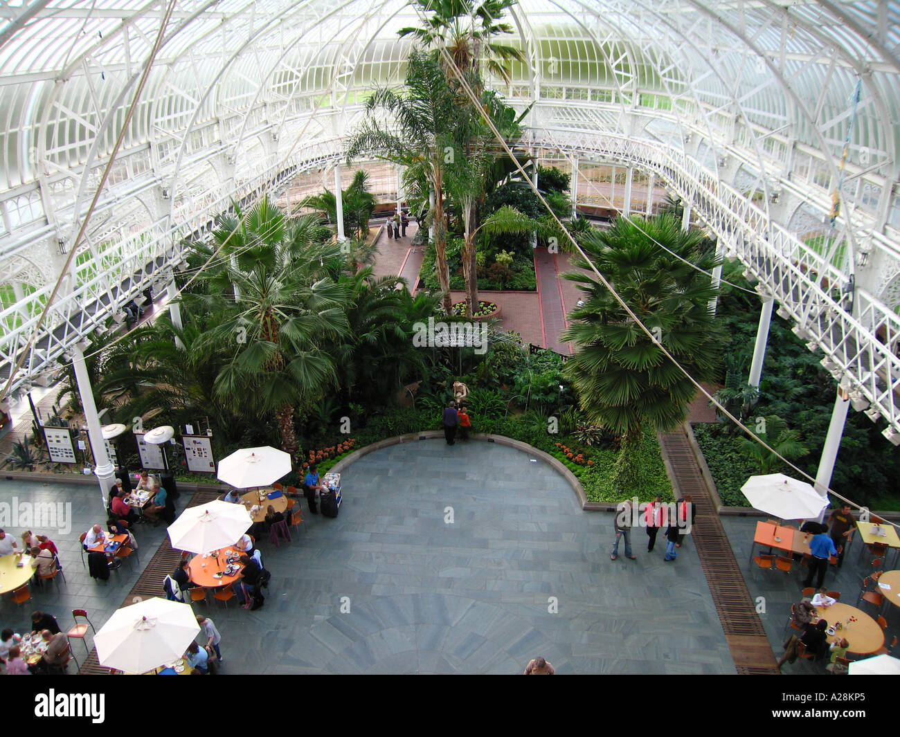 Winter Gardens conservatory Peoples Palace Glasgow Stock Photo - Alamy