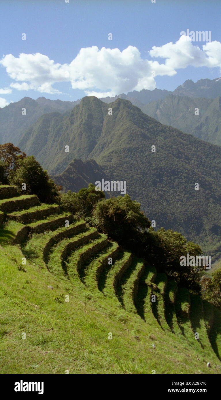 Winay wayna peru hi-res stock photography and images - Alamy