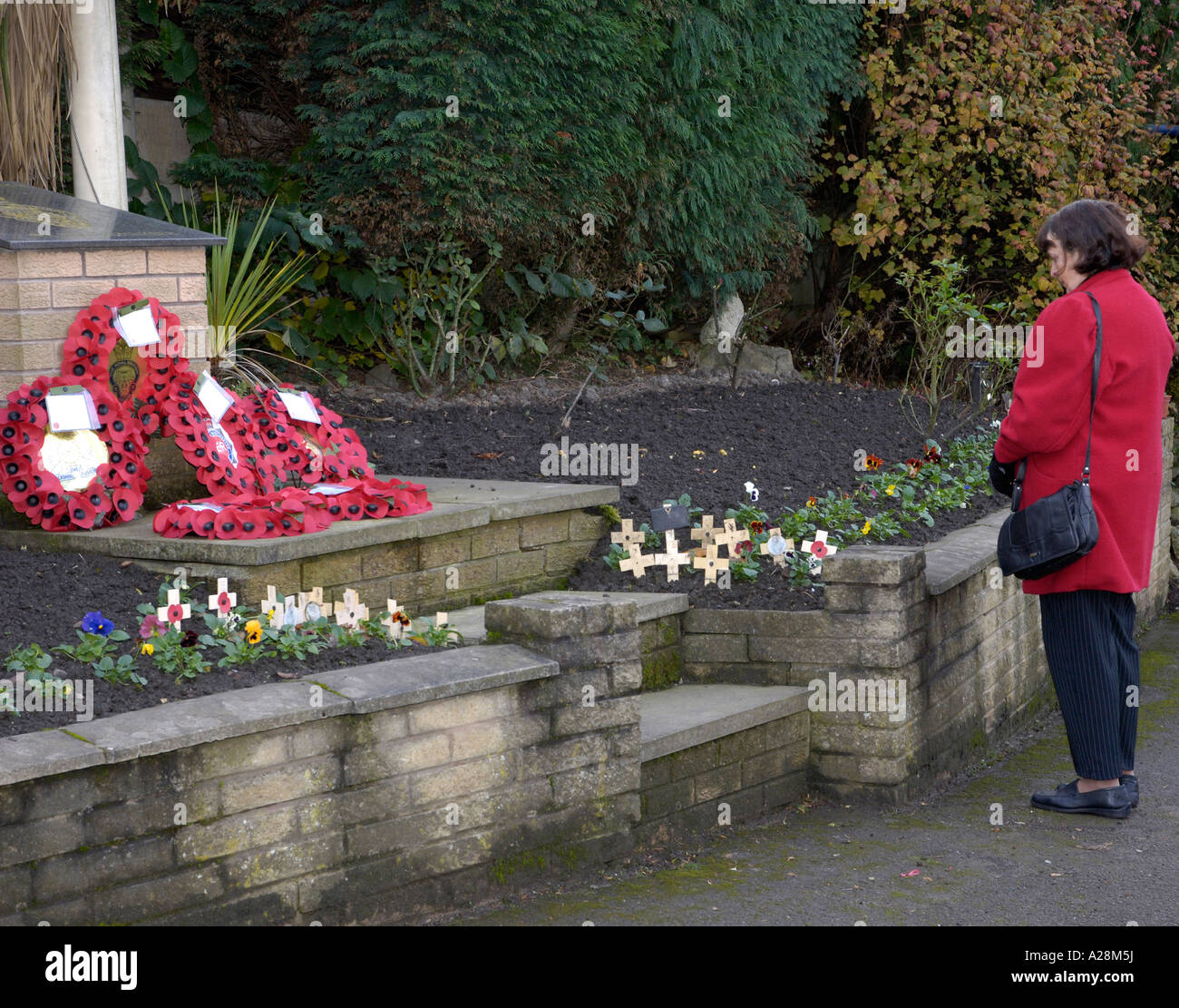 Paying Respects on Remembrance Day Stock Photo - Alamy