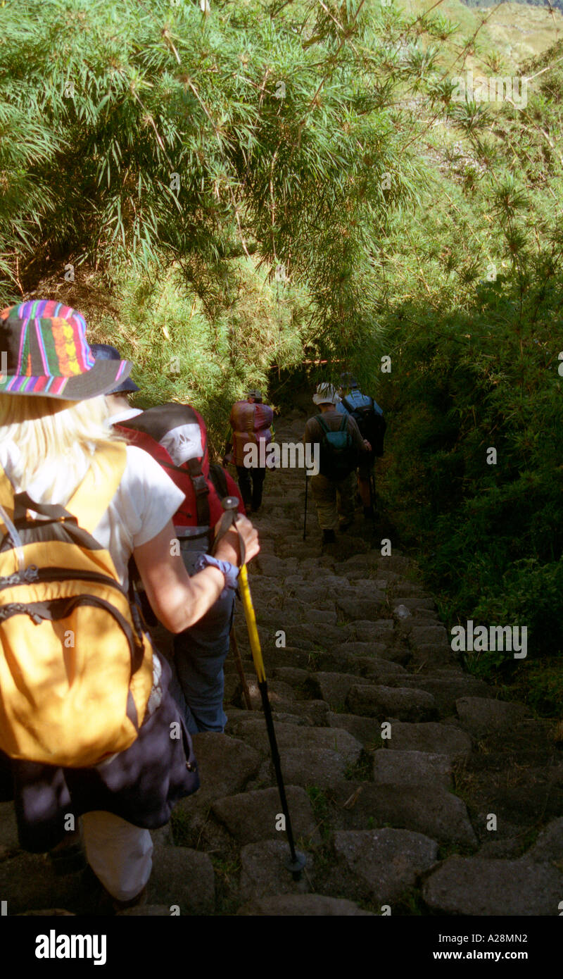 Steep descent on the Inca Trail en route to Machu Picchu, Peru Stock ...