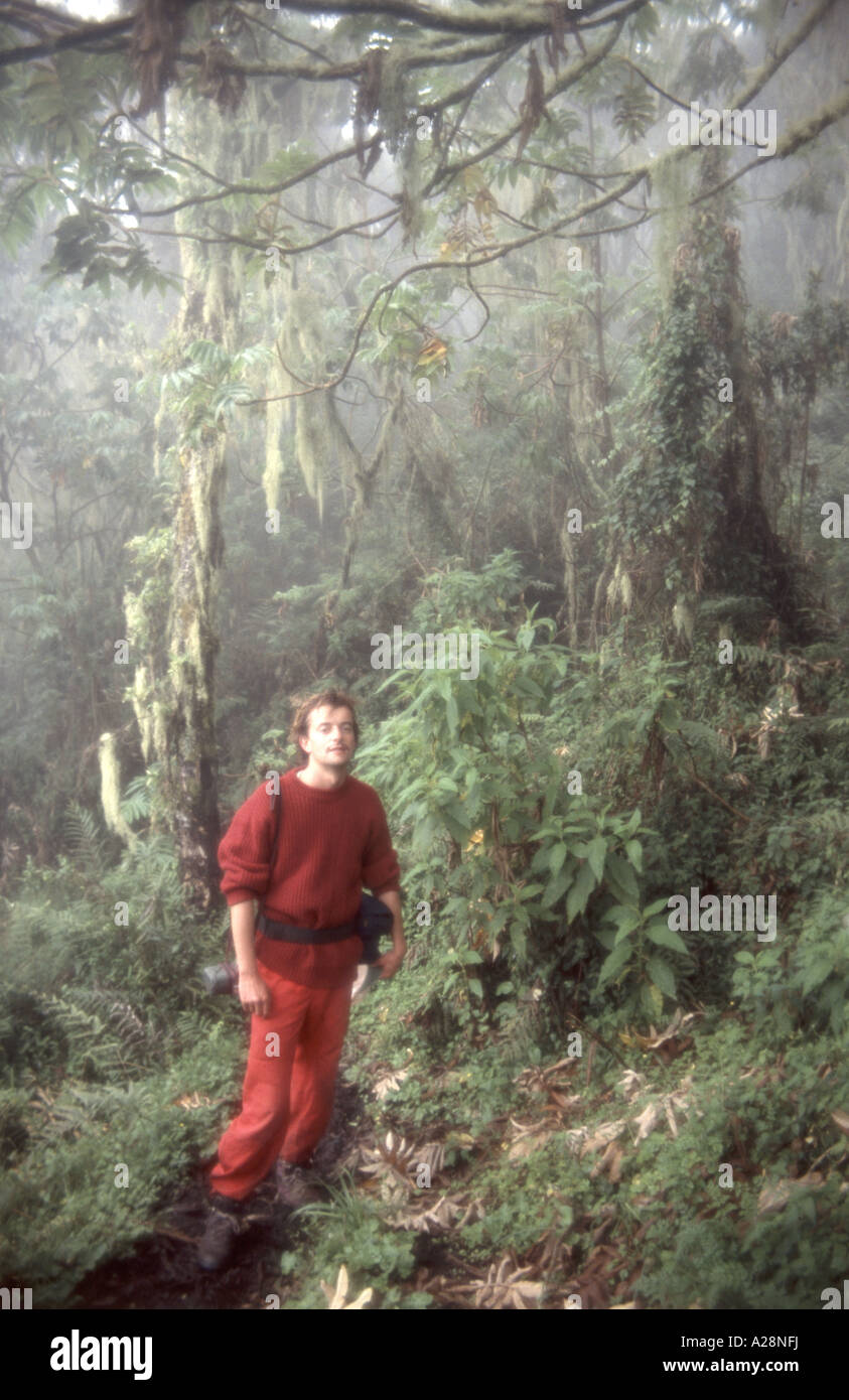 Trekker Hiking In Jungle, Ruwenzori Mountains, Democratic Republic of ...