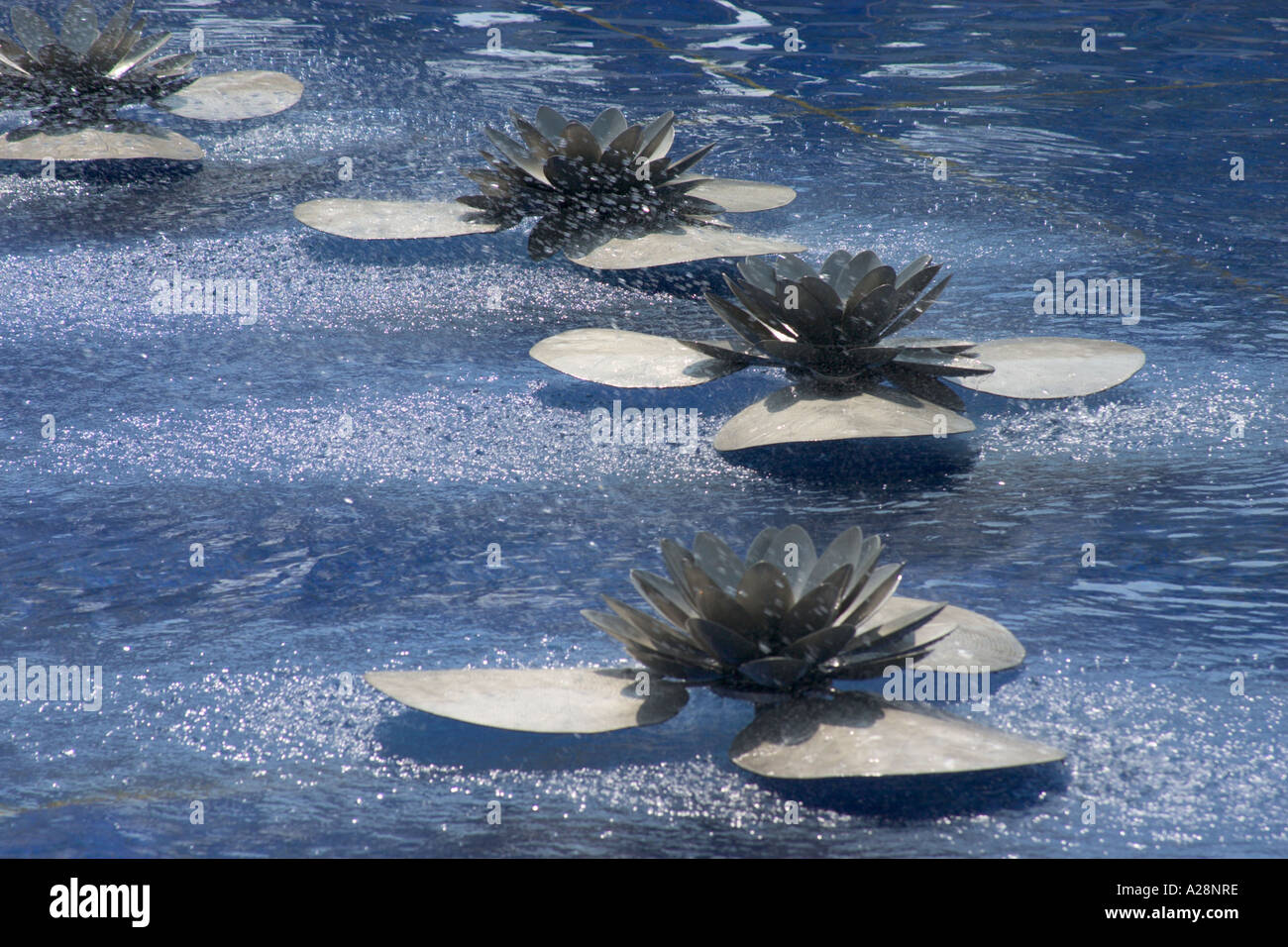Lotus flower of life hi-res stock photography and images - Alamy