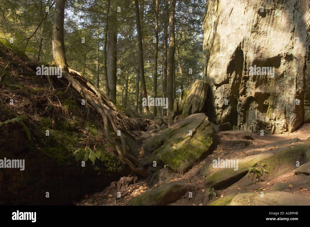 Rock formations in Hocking Hills State Park, Ohio Stock Photo - Alamy