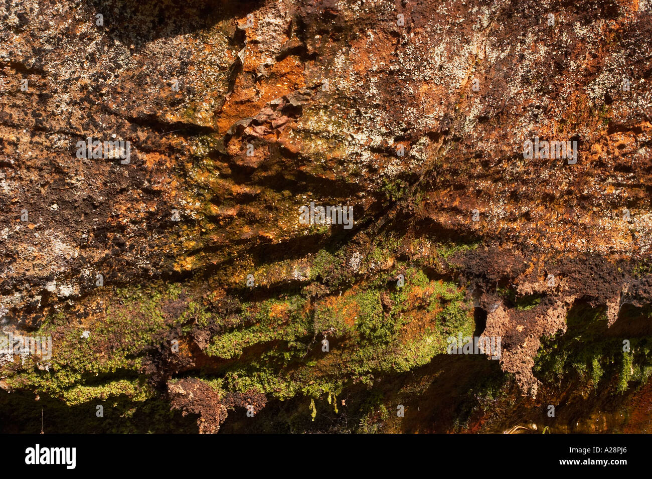 Rock formations in Hocking Hills State Park, Ohio Stock Photo - Alamy