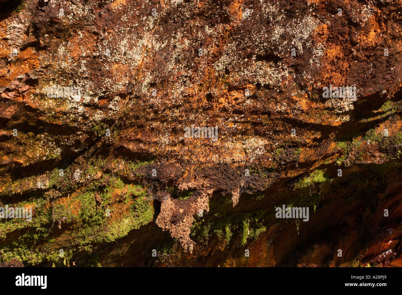Rock formations in Hocking Hills State Park, Ohio Stock Photo - Alamy