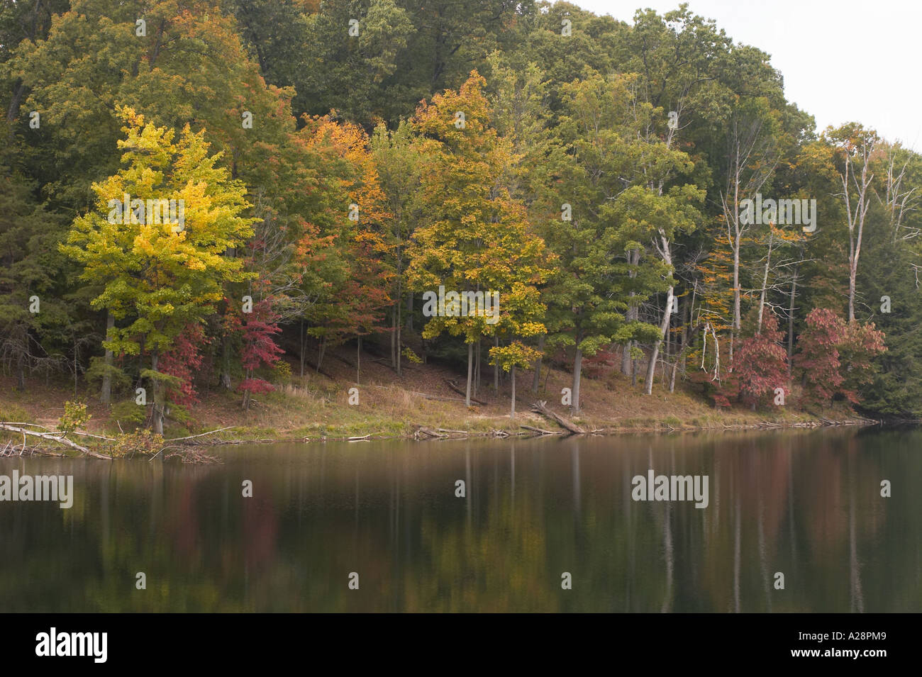 Trees along Rose Lake in Hocking Hills State Park in Ohio Stock Photo ...