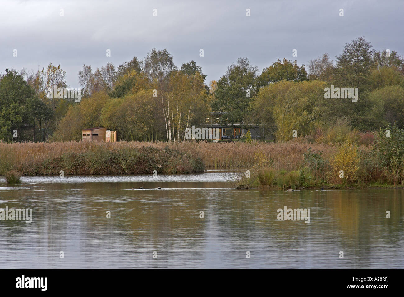 Willow Pool with Beeston Hide & Field Centre, Potteric Carr Nature ...