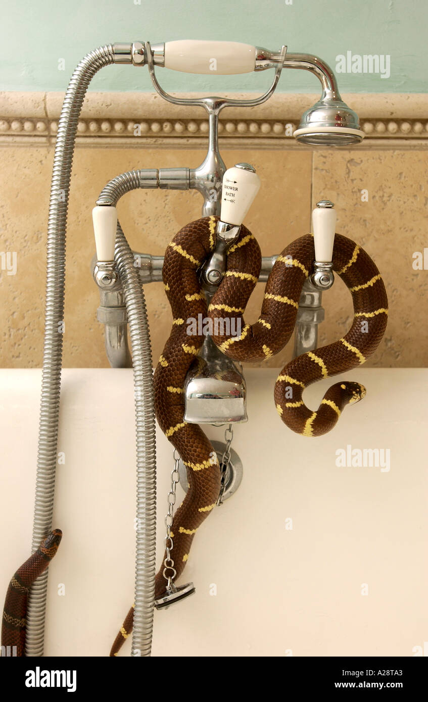 Creeping Snakes High Resolution Stock Photography and Images - Alamy