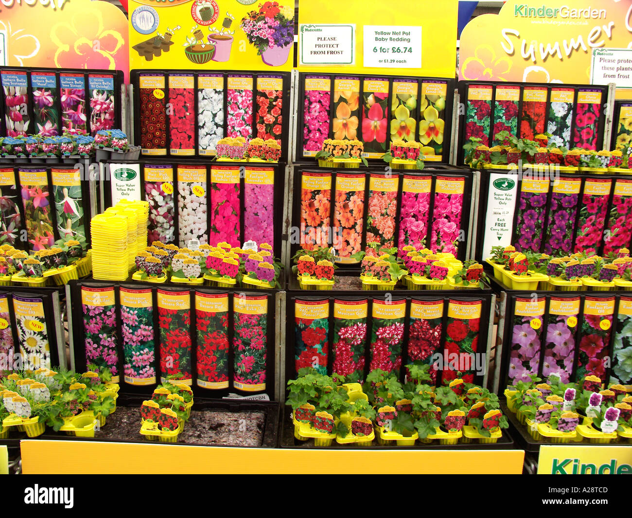 Garden centre display Stock Photo - Alamy