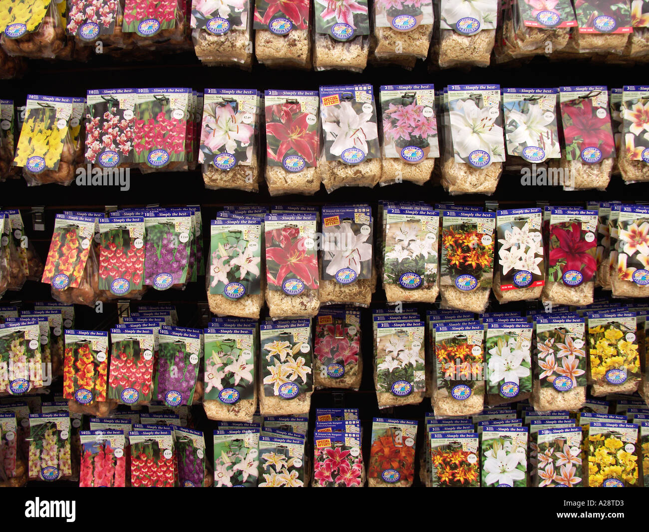 Garden centre display of seeds Stock Photo - Alamy