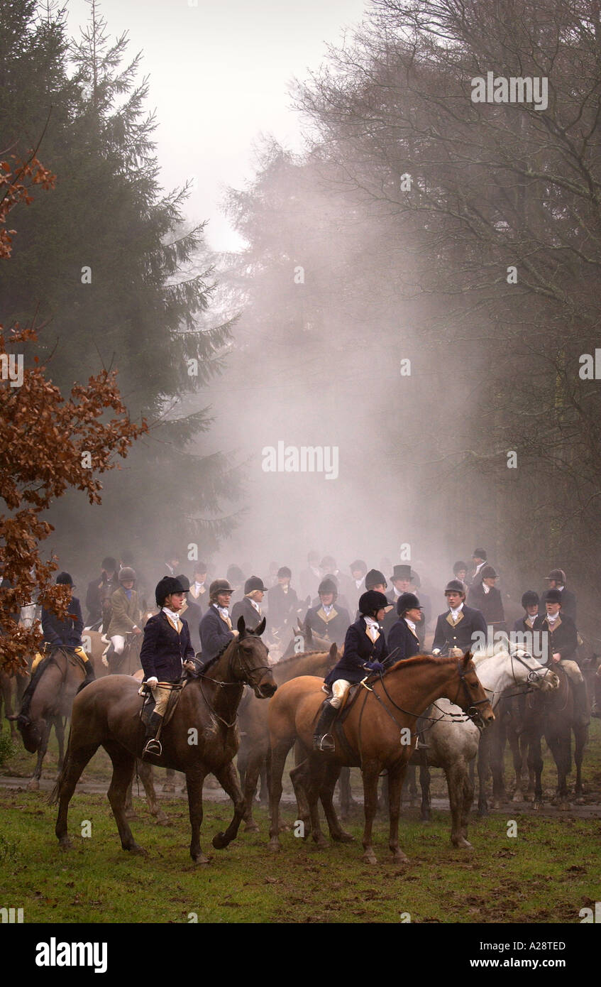 Jan hunt hi-res stock photography and images - Alamy