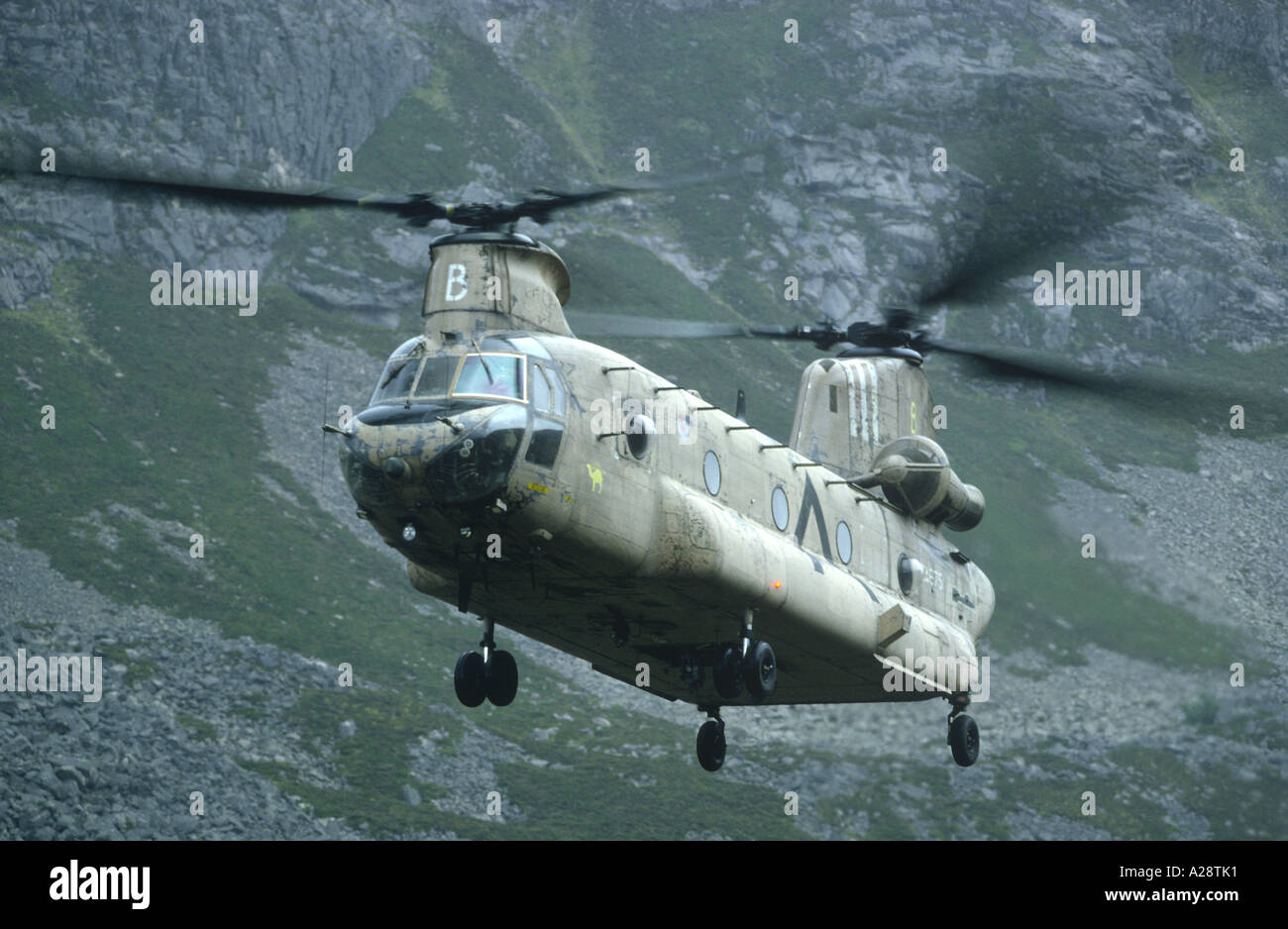 54 2110 hi-res stock photography and images - Alamy