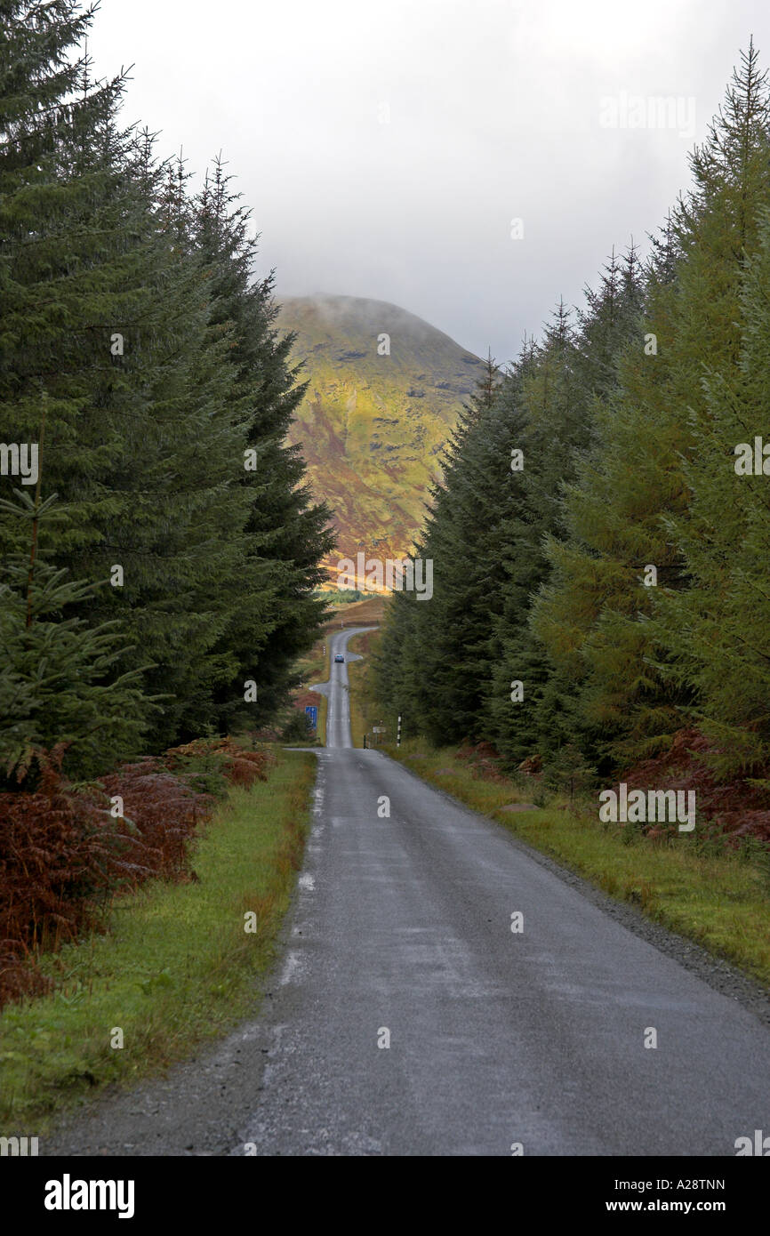 Glen More road through conifer plantation, Isle of Mull, Argyll ...