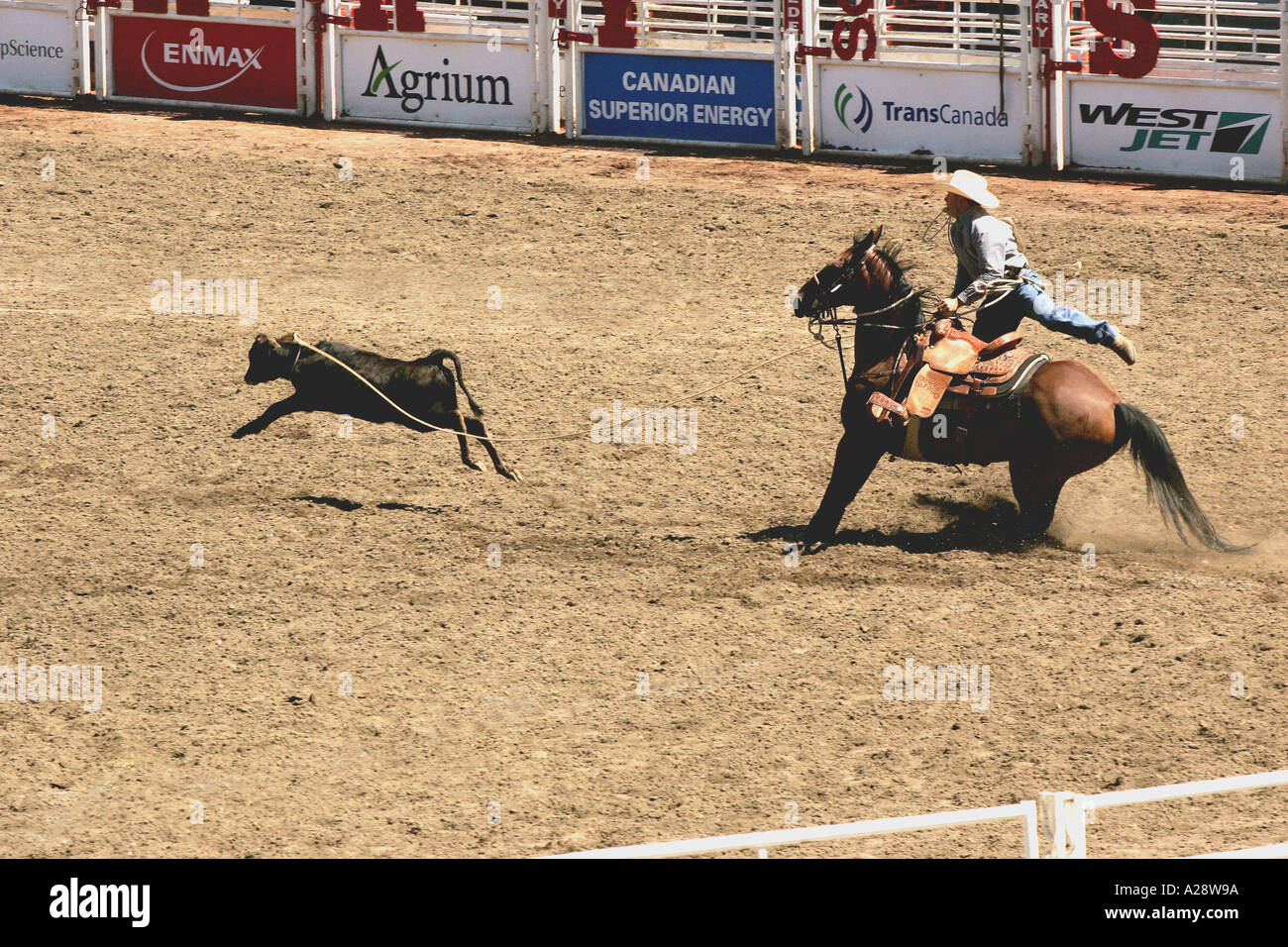 Calgary Stampede Rodeo Stock Photo - Alamy