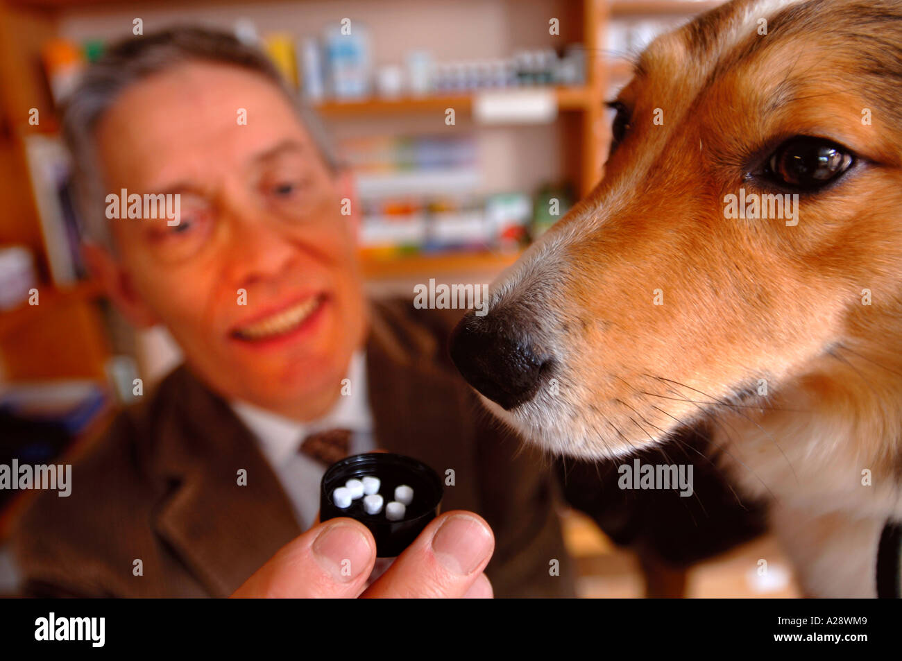 CHRISTOPHER DAY A HOMEOPATHIC VETERINARY SURGEON EXAMINES A DOG IN HIS ...