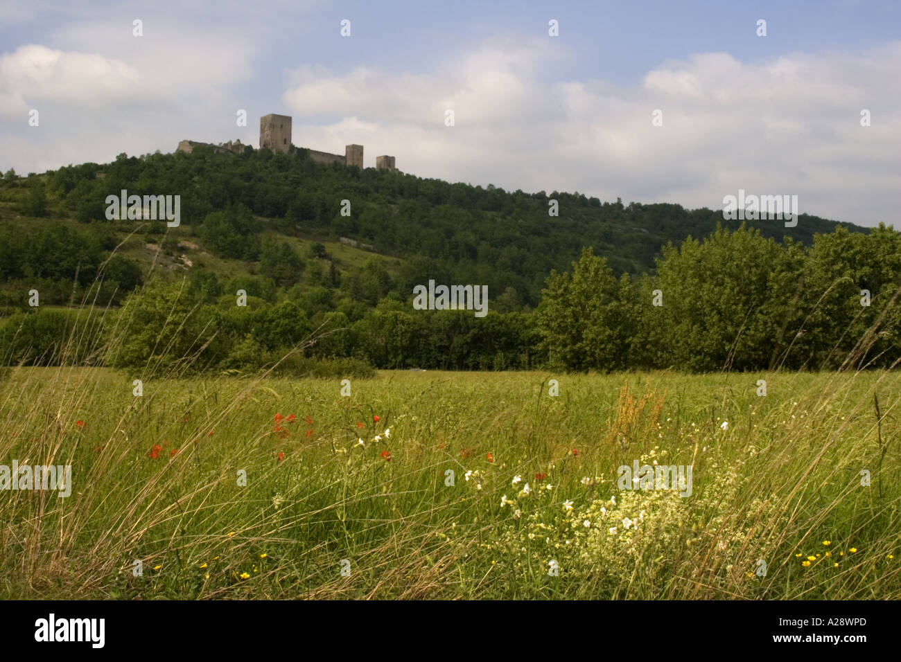Chateau de Puivert France Stock Photo - Alamy