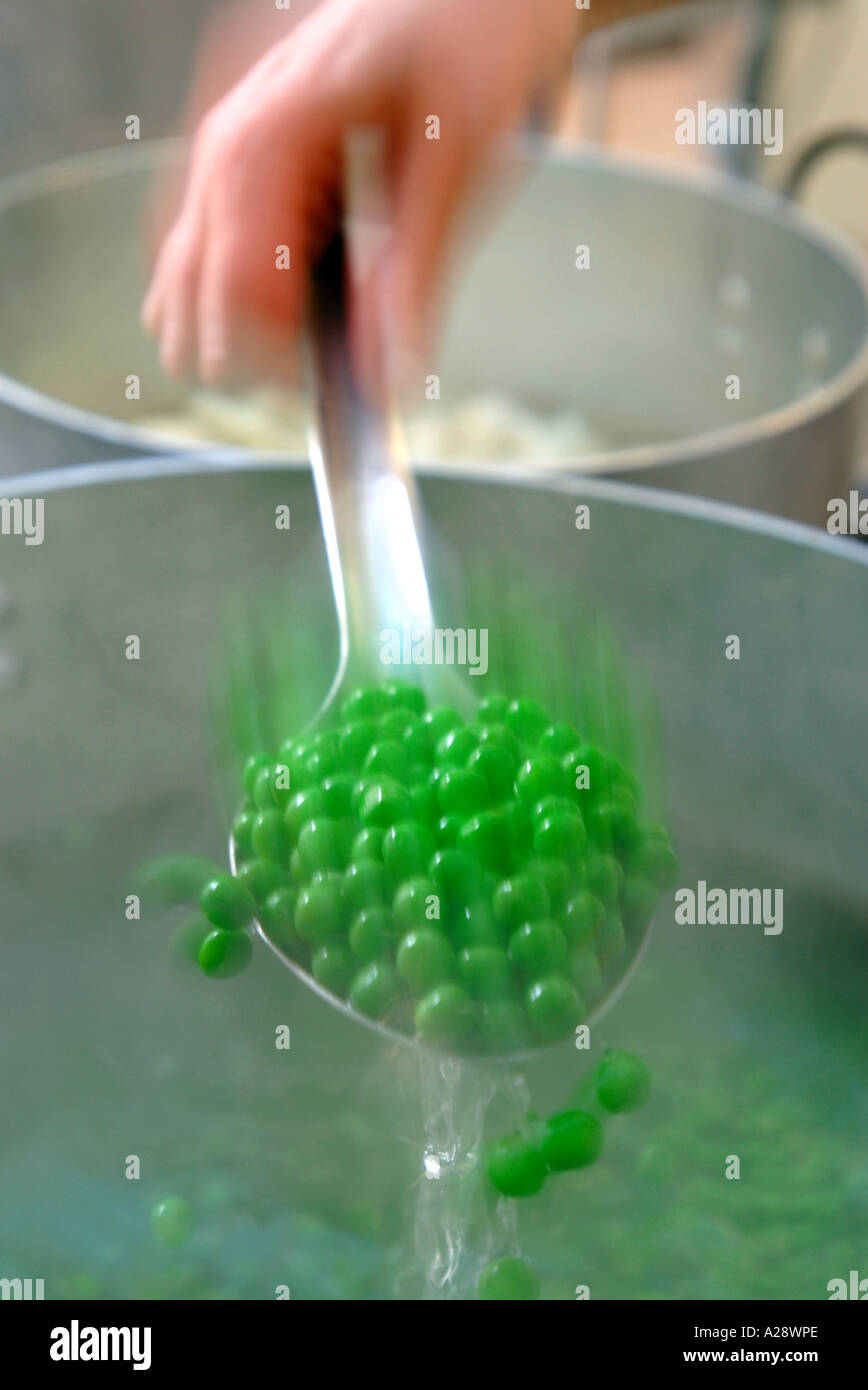 PEAS BOILING IN A POT FOR NEW HEALTHY SCHOOL DINNERS UK Stock Photo - Alamy