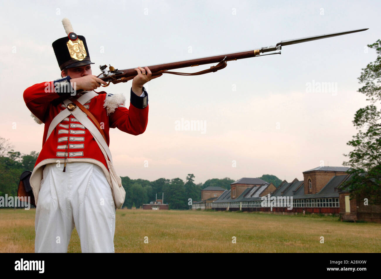 Man in historic English army soldieruniform with Rifle and Bayonet ...