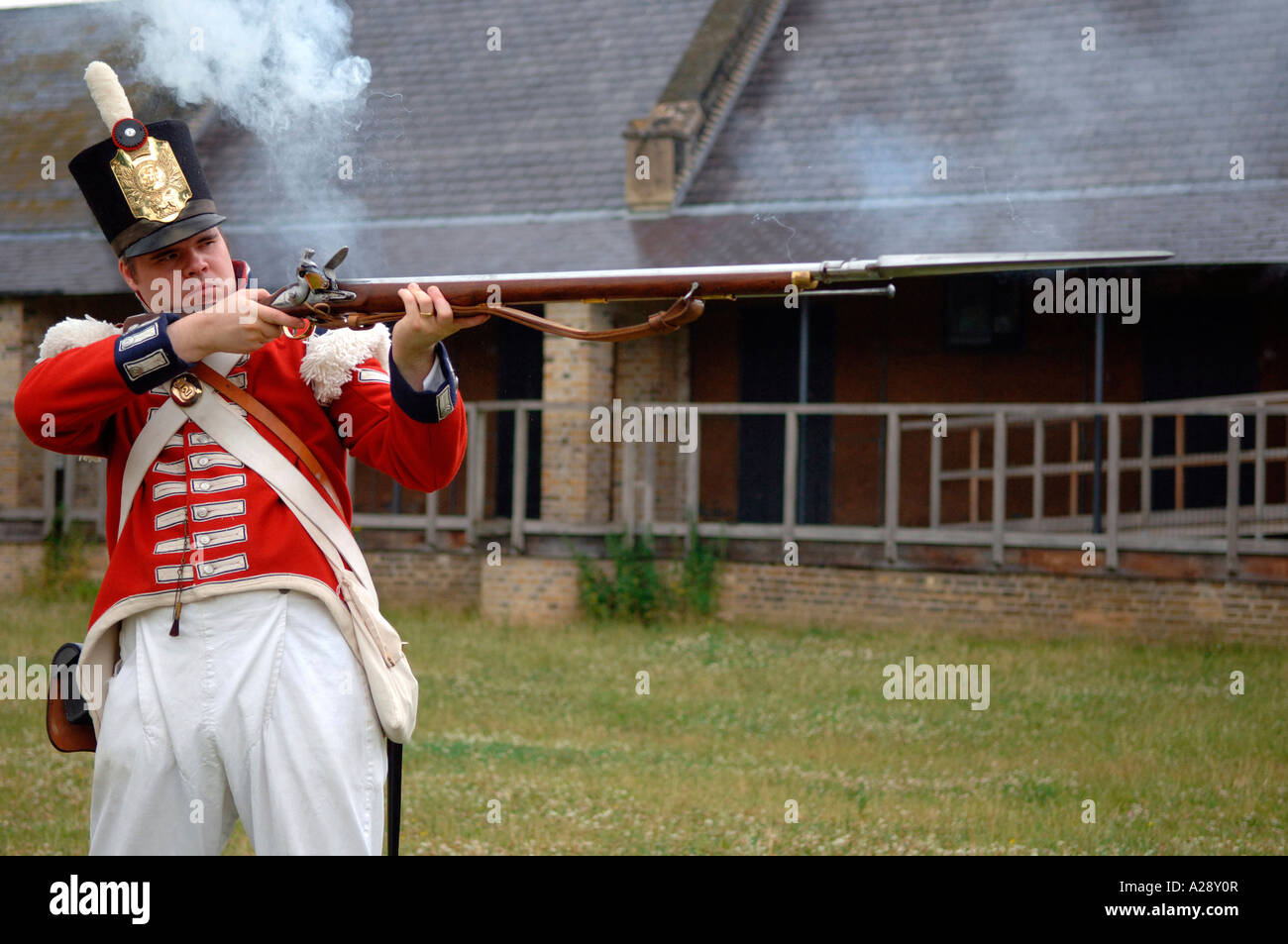 Man in historic English army uniform shooting a Rifle with a Bayonet ...