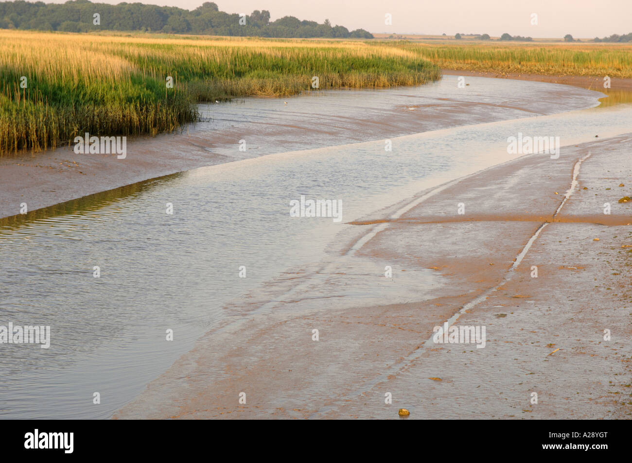 The river at Snape Maltings Suffolk Stock Photo - Alamy
