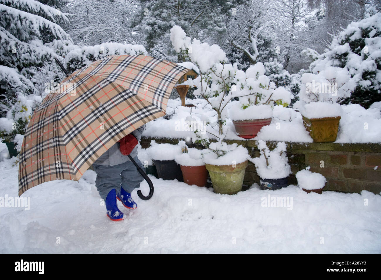 Child kid umbrella hiding hi-res stock photography and images - Alamy