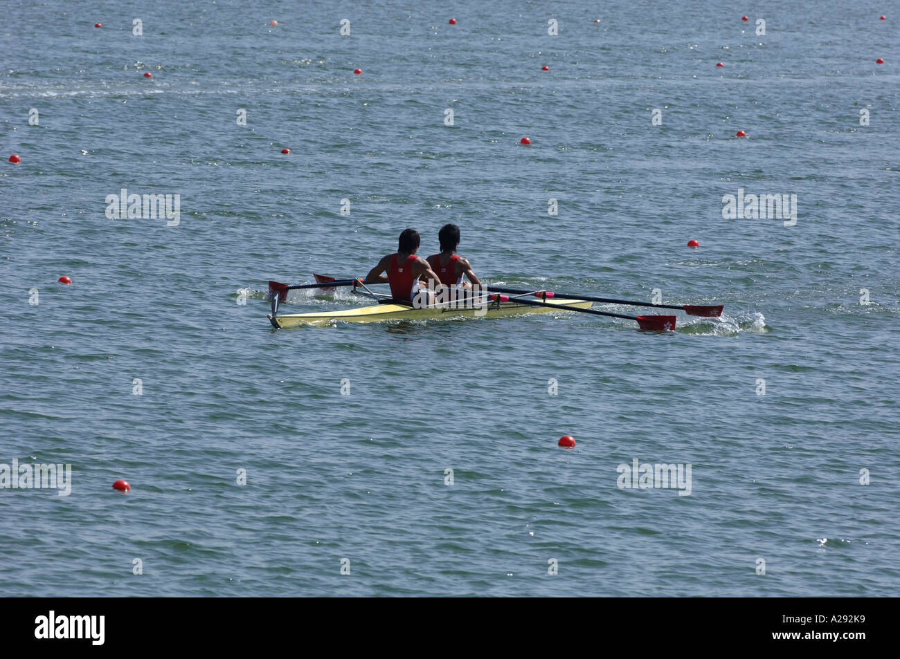 Rowing oars water hi-res stock photography and images - Alamy