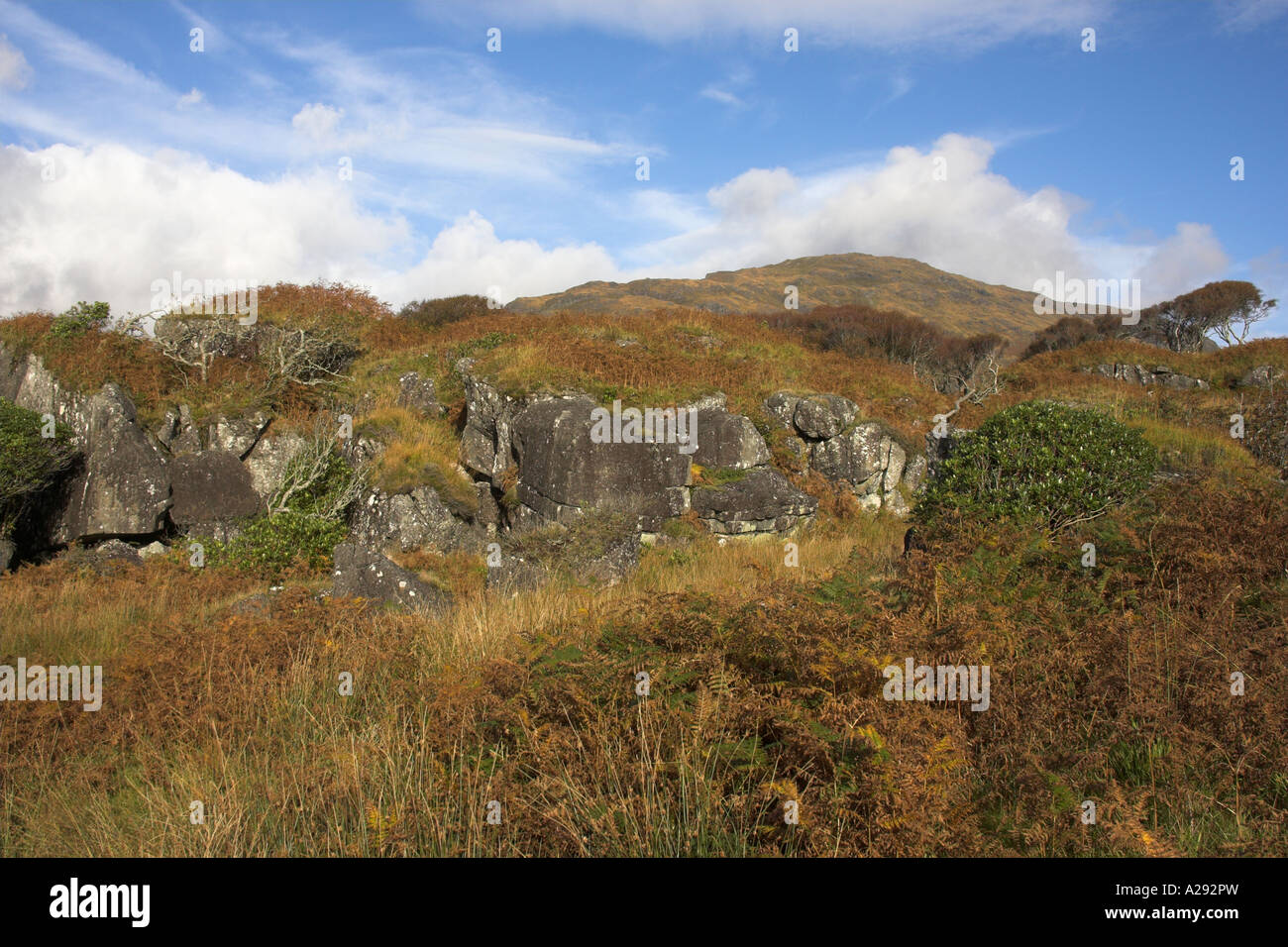 Autumn moorland near Lochbuie, Isle of Mull, Argyll, Scotland Stock ...
