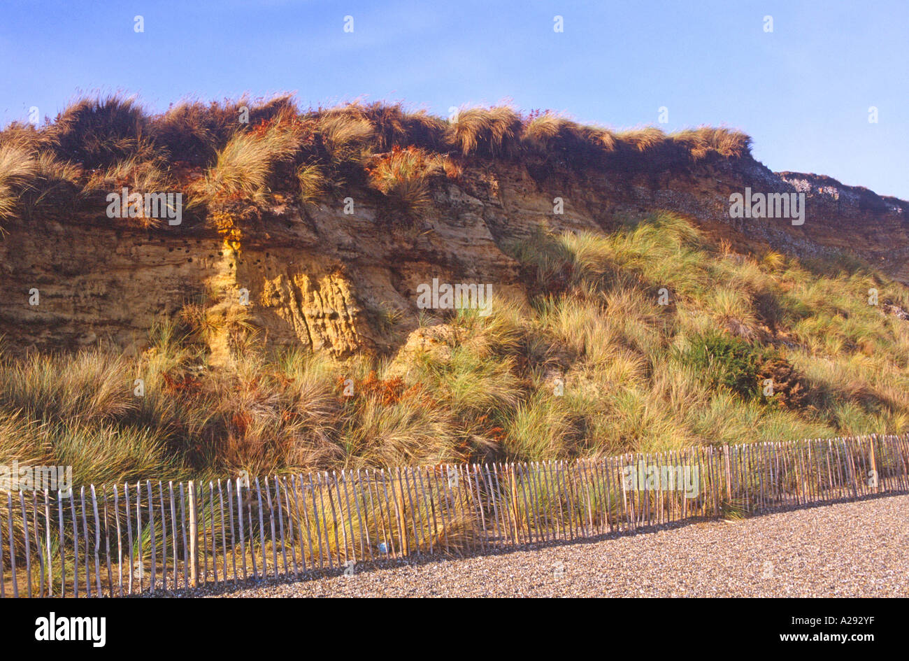 Soft rock weathering hi-res stock photography and images - Alamy
