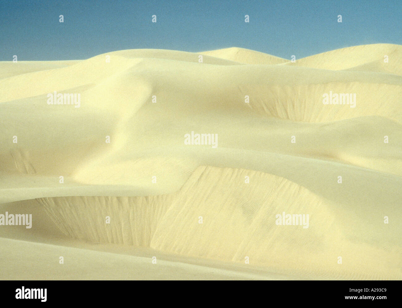 Sand dunes in the Dunes of Coro National Park on the Paraguana ...