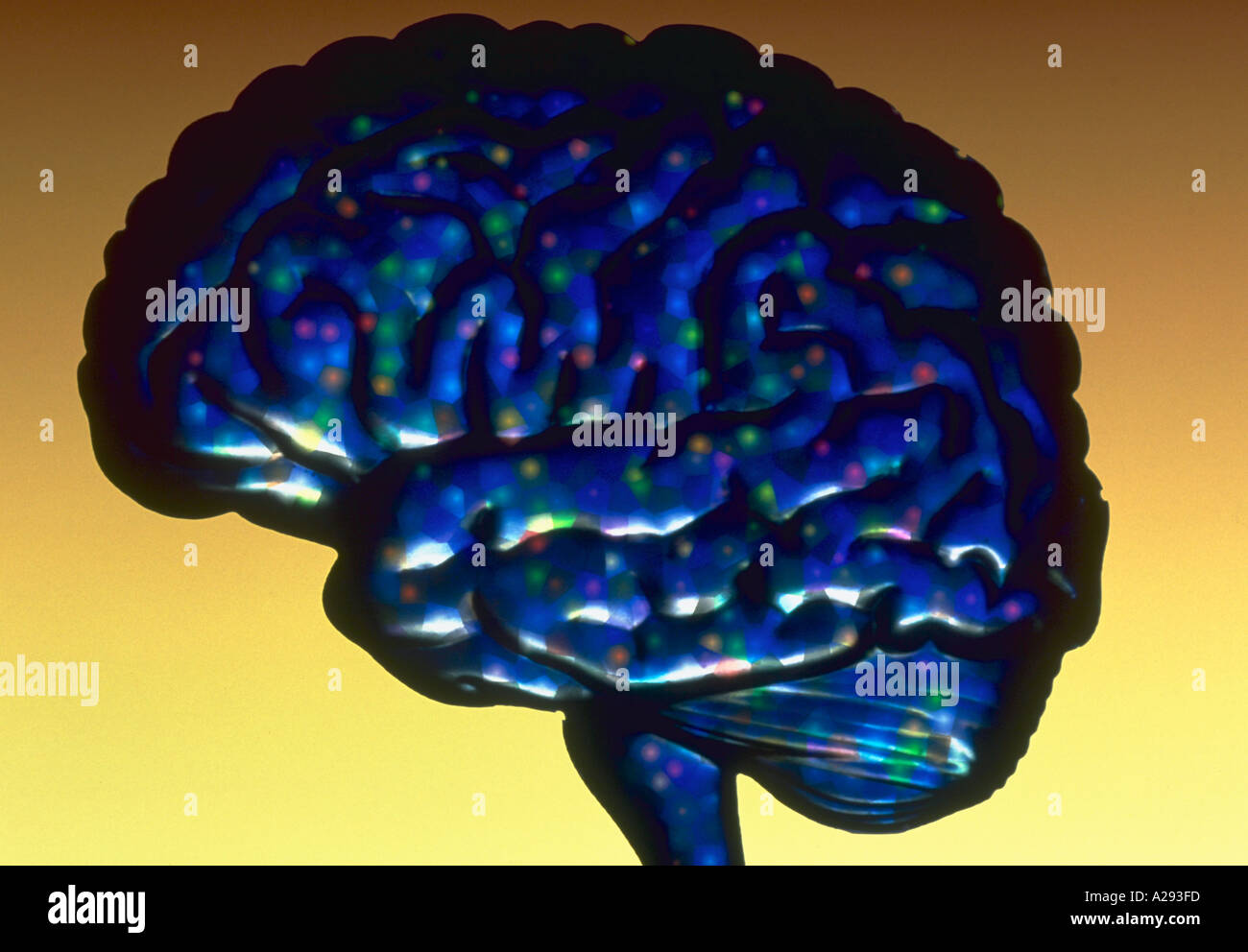 Model of a human brain with different colored points indicating ideas ...