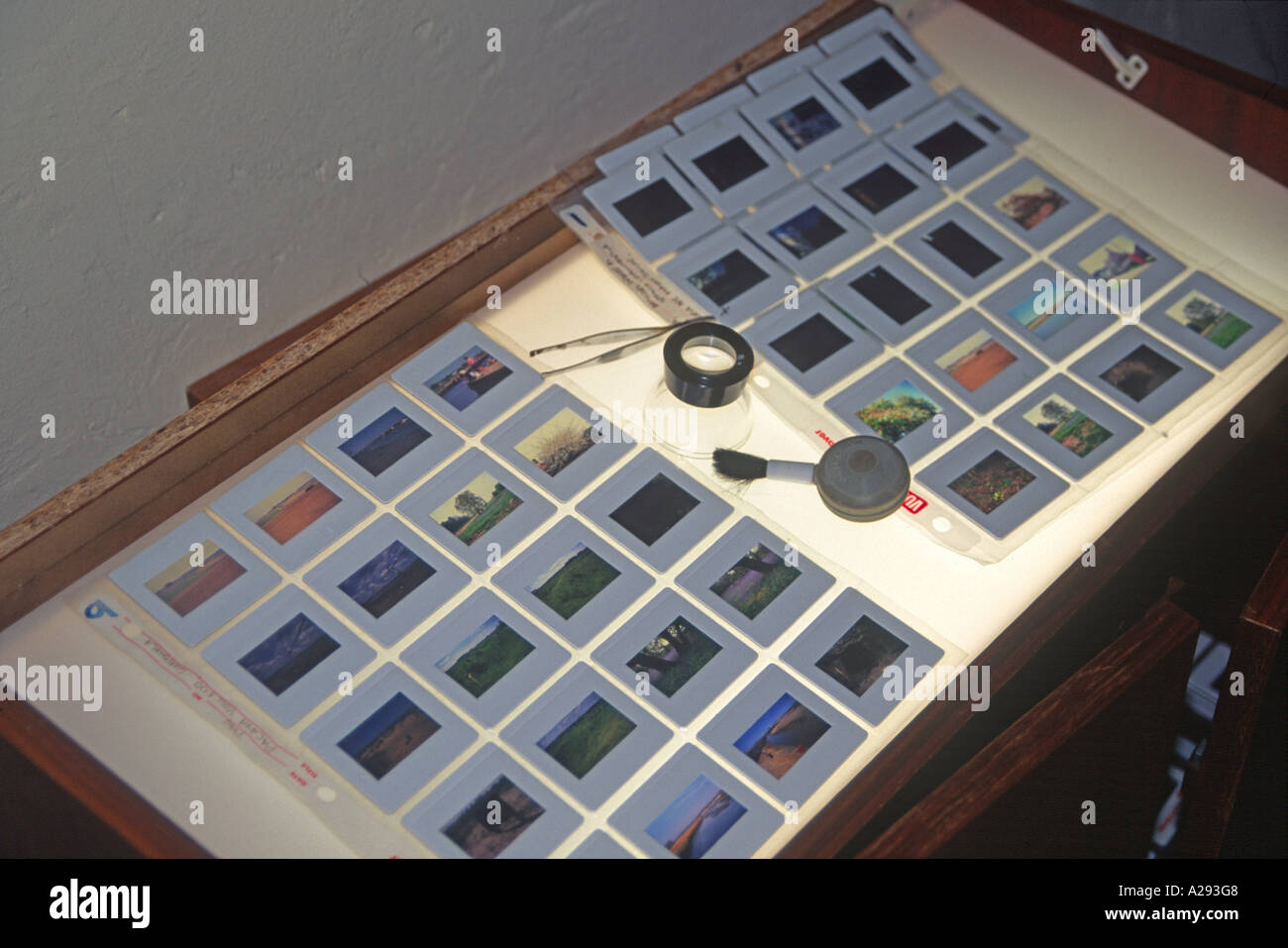 Photographic transparency slides on light box Stock Photo - Alamy