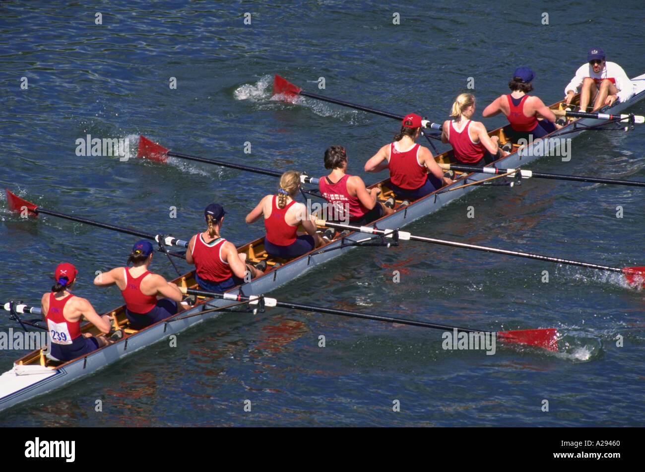 Teamwork shot of women crew team during a competition In team uniforms ...