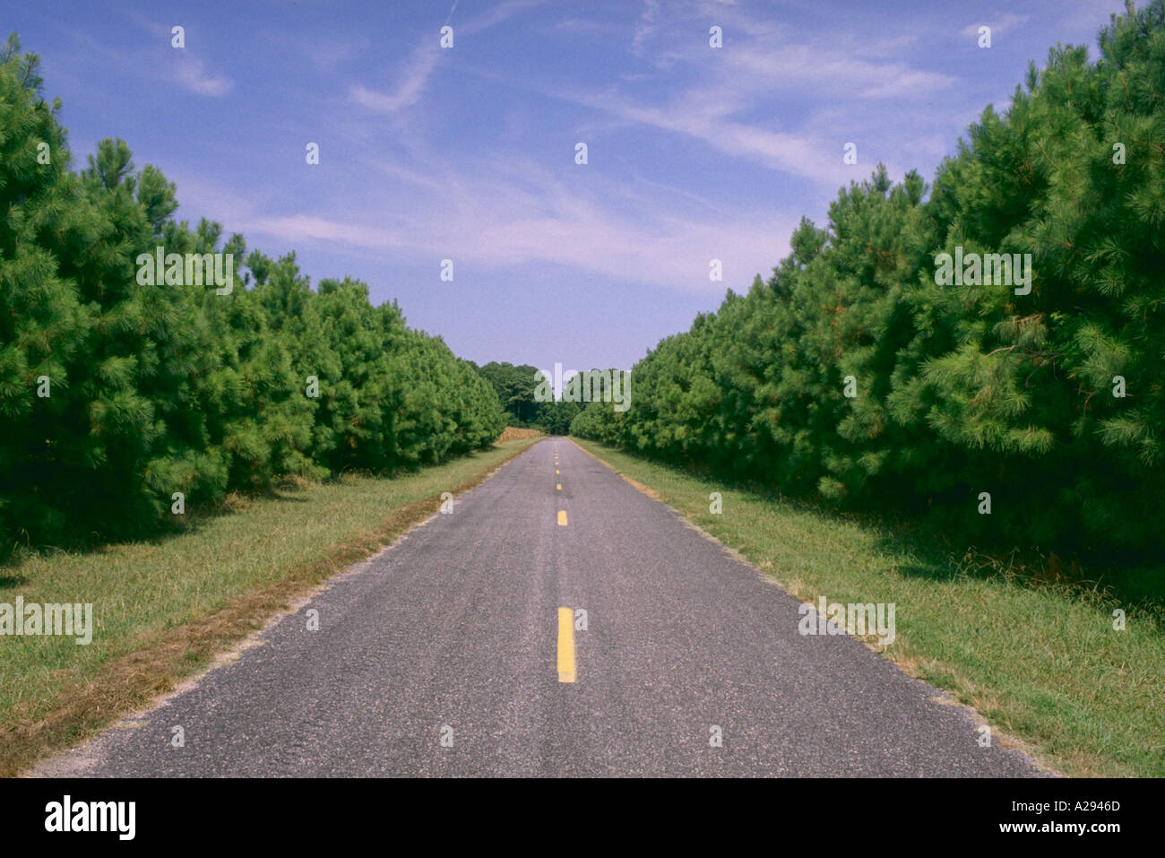 Road disappearing into the distance Very symmetrical Variations ...