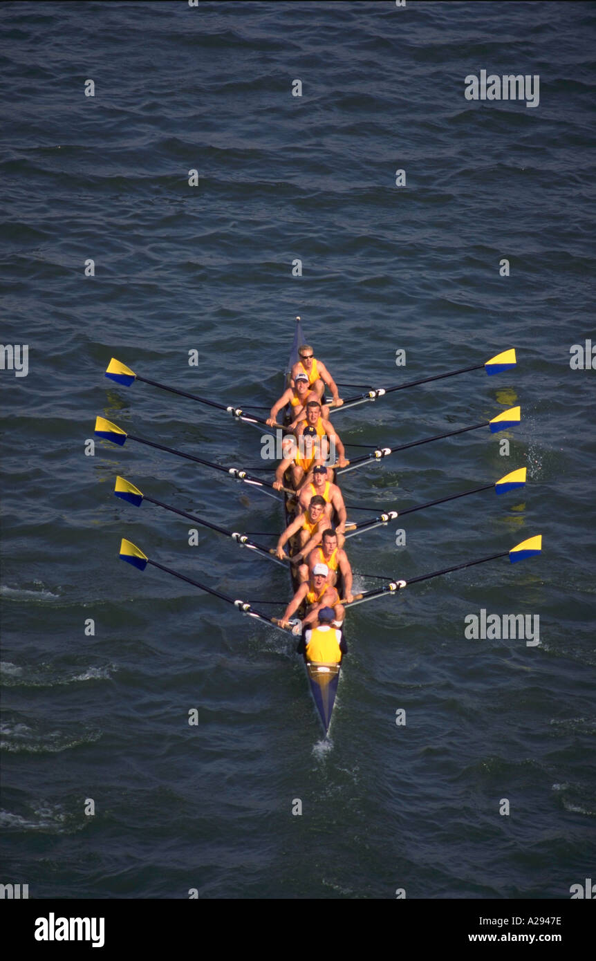 Male rowing crew Stock Photo - Alamy