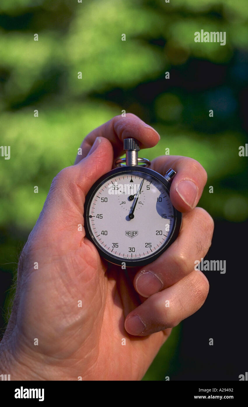 Hand holding stopwatch Stock Photo - Alamy