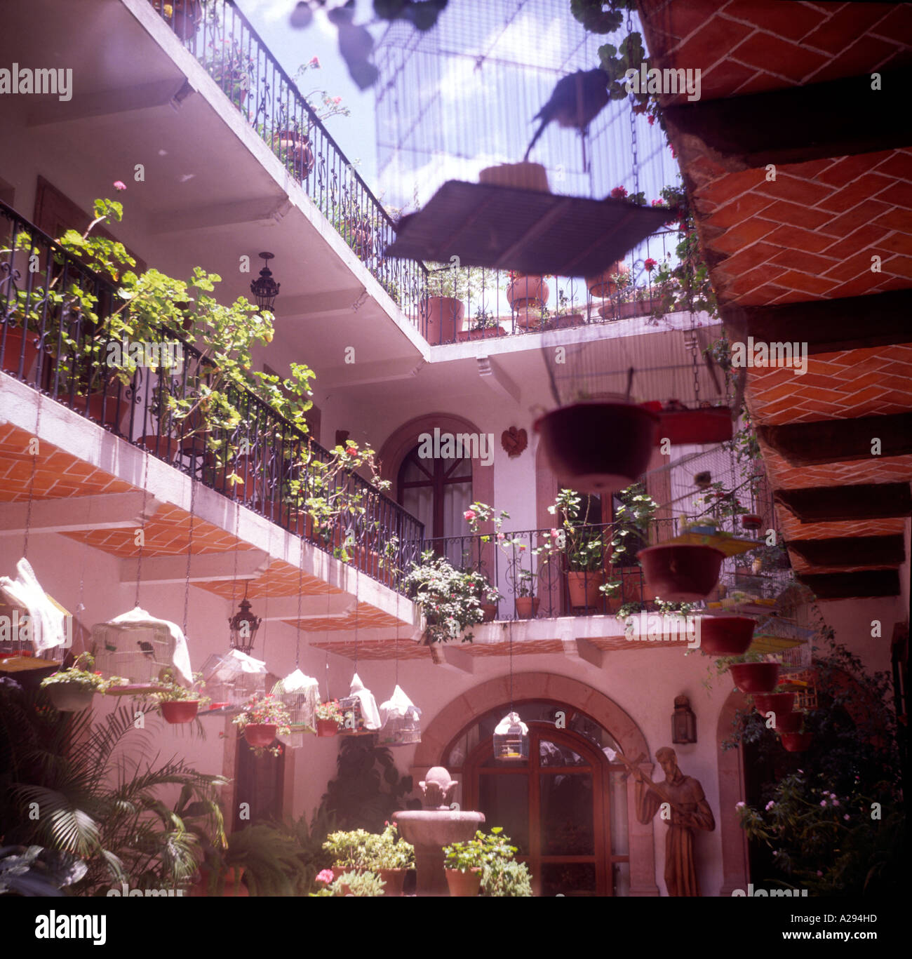 Birds in mexico hi-res stock photography and images - Alamy