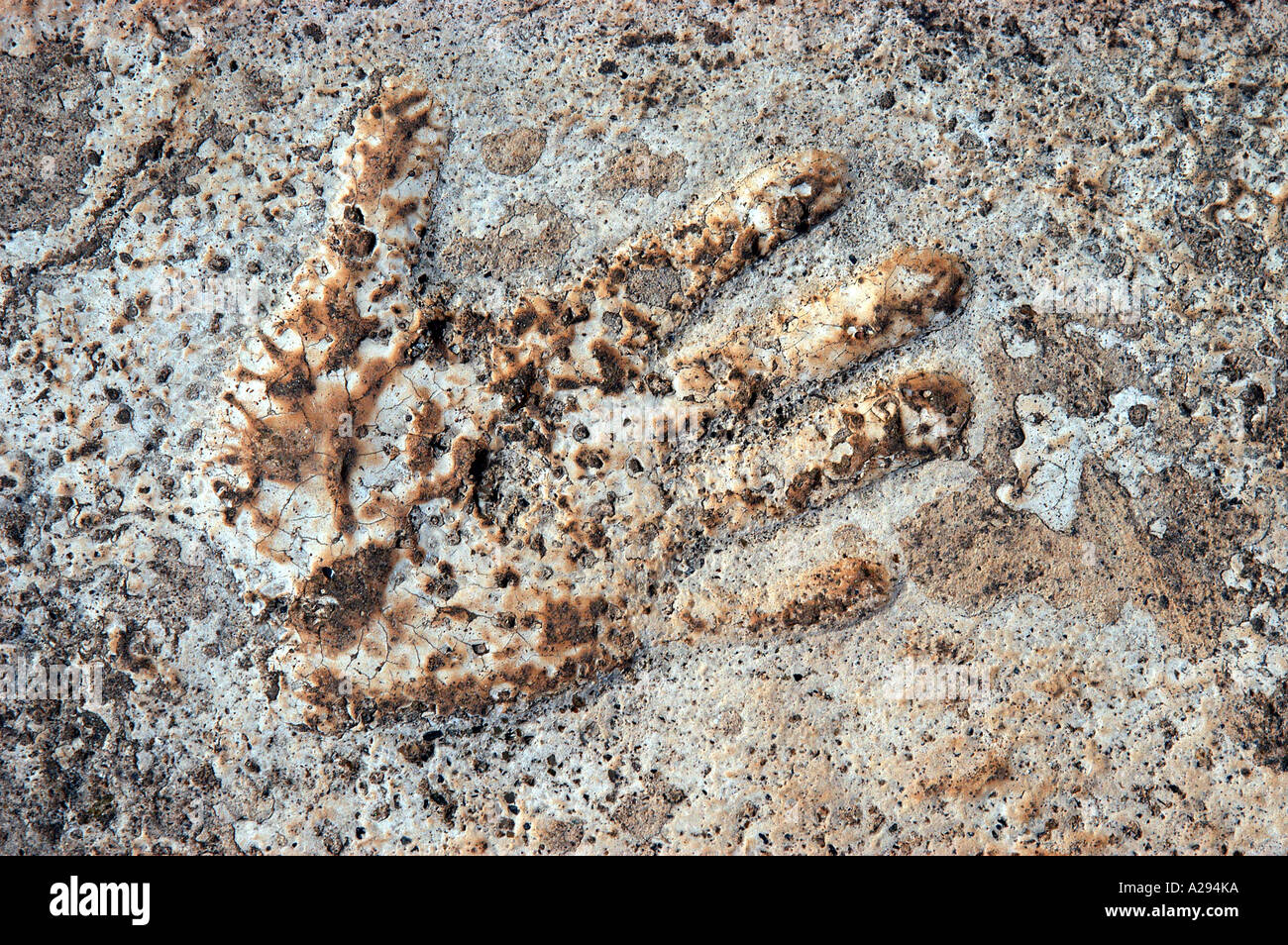 El puche hi-res stock photography and images - Alamy